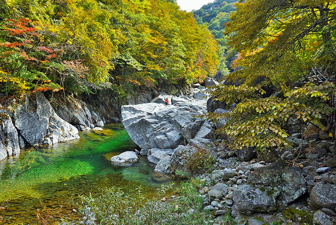 영남일보 - 사람과 지역의 가치를 생각합니다.